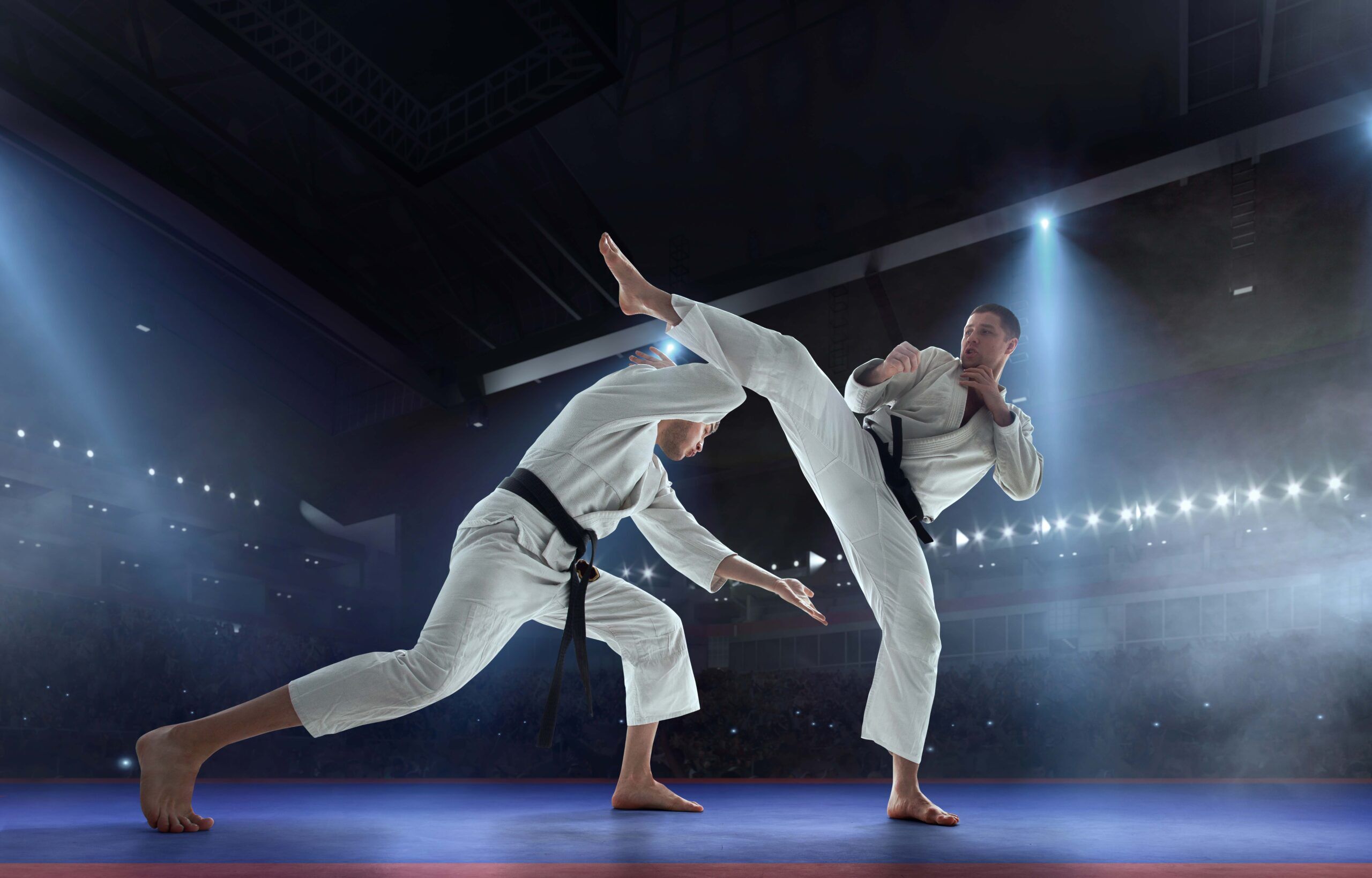 Striking vs. Grappling: Understanding Martial Arts Styles - Rodney Hu ...